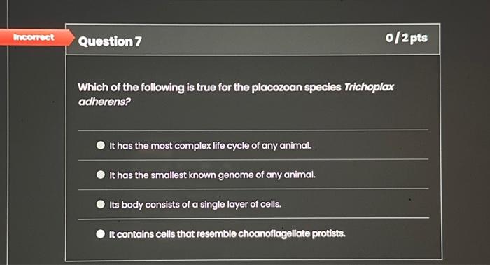 Solved Question 7 0/2 pts Which of the following is true for | Chegg.com