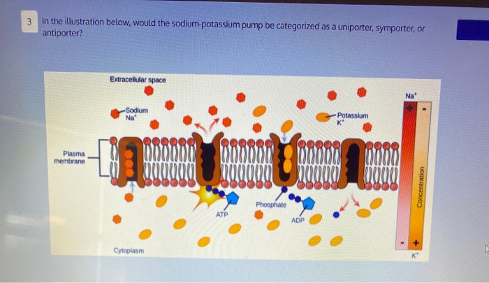 Solved 3 In the illustration below, would the | Chegg.com