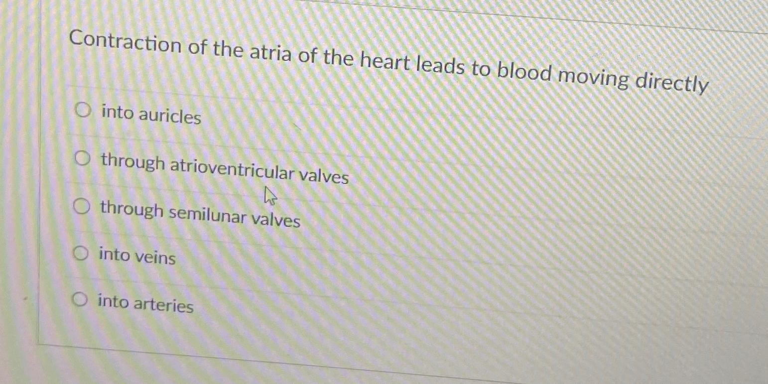 Solved Contraction of the atria of the heart leads to blood | Chegg.com