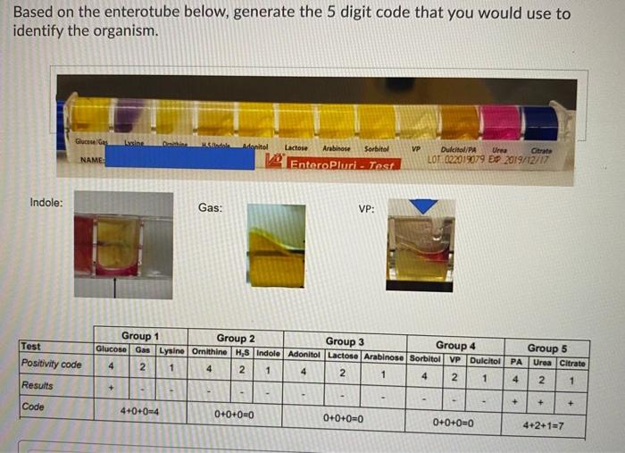 Solved Based on the enterotube below, generate the 5 digit | Chegg.com