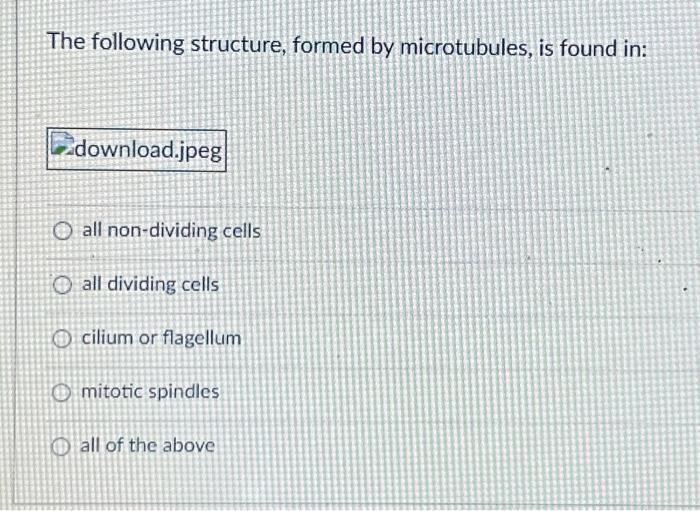 Solved The following structure, formed by microtubules, is | Chegg.com