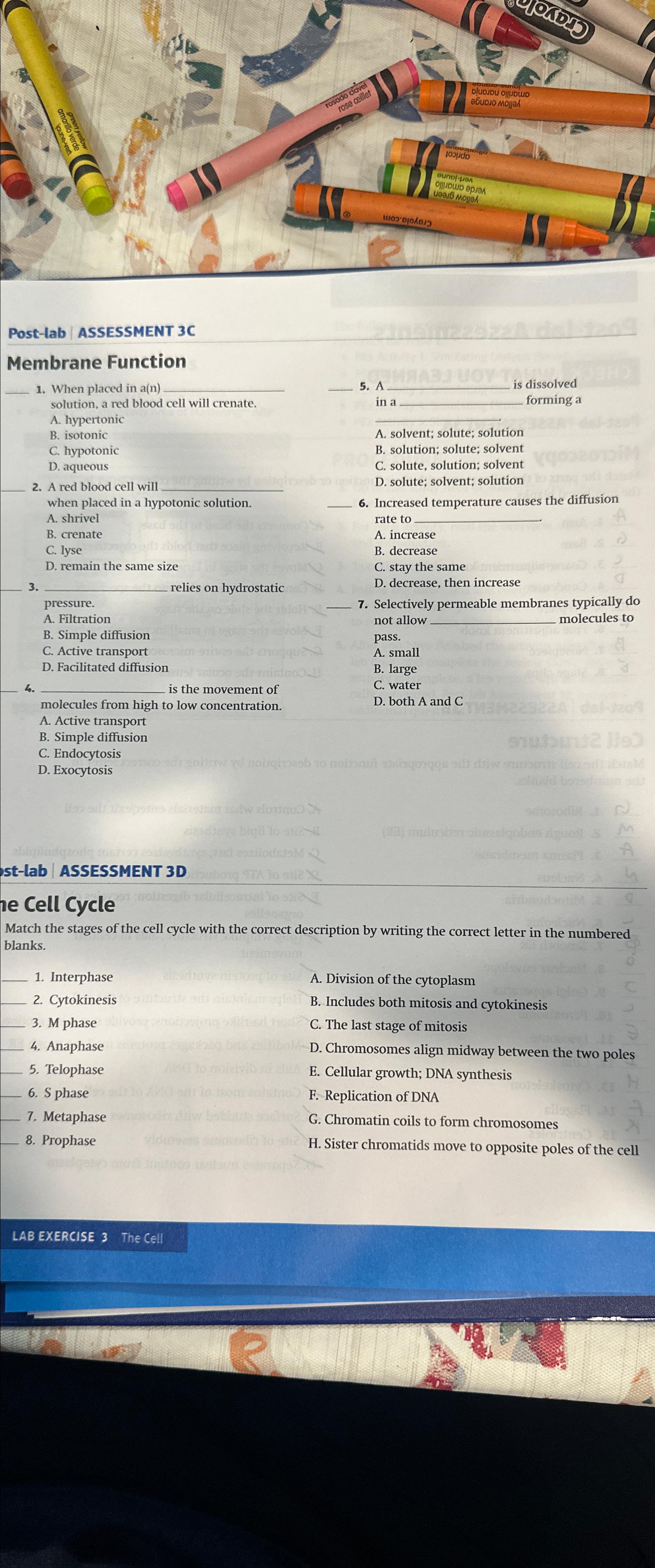 Solved Post-lab ASSESSMENT 3CMembrane FunctionWhen placed in | Chegg.com