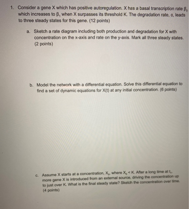 1. Consider a gene X which has positive | Chegg.com