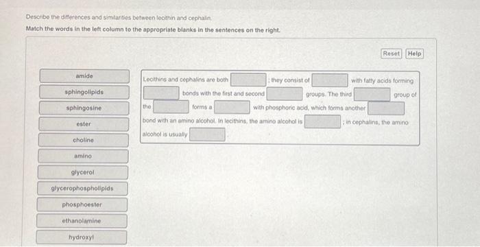 Solved Describe the differences and similarities between | Chegg.com