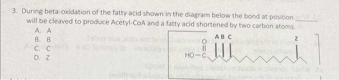 Solved 3. During beta-oxidation of the fatty acid shown in | Chegg.com