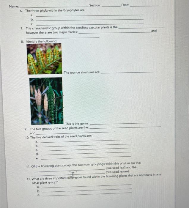 Solved 6. The three phyla within the Bryophytes are: a. b. | Chegg.com