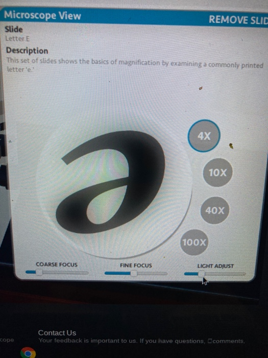 Solved Microscope View REMOVE SLIC Slide Letter E | Chegg.com