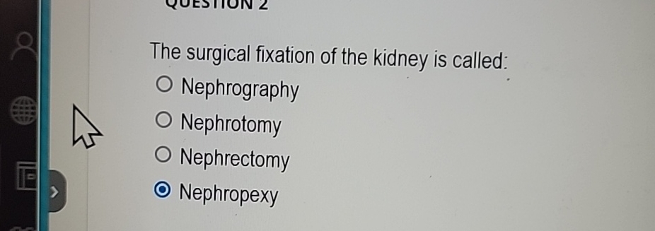 Solved The surgical fixation of the kidney is | Chegg.com