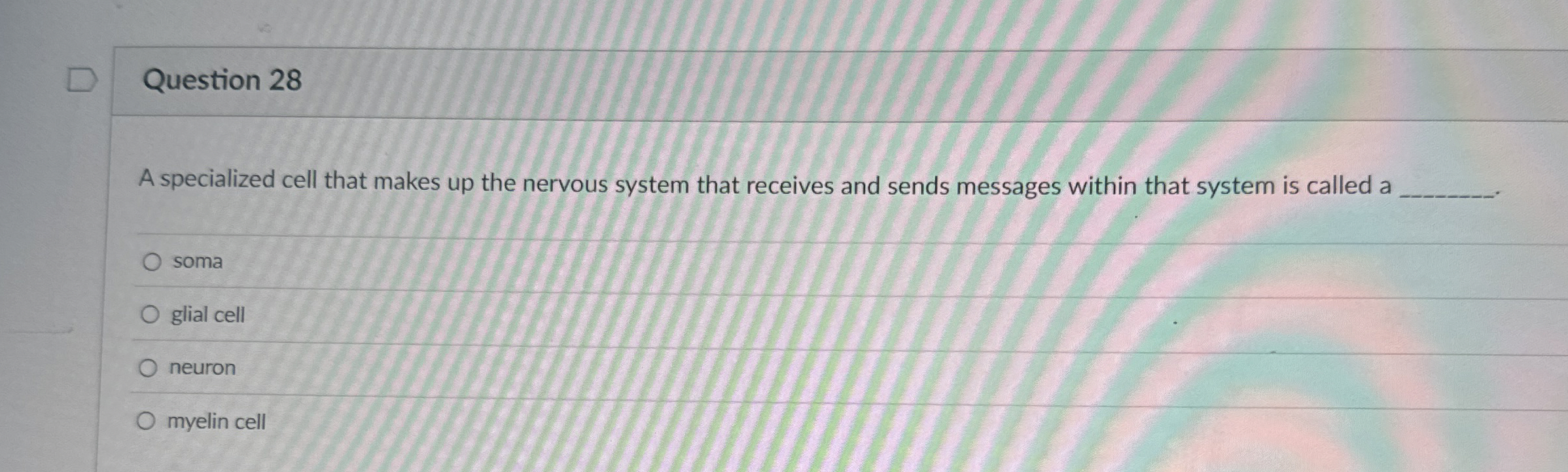 Solved Question 28A specialized cell that makes up the | Chegg.com