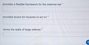 Solved provides a flexible framework for the external ear | Chegg.com