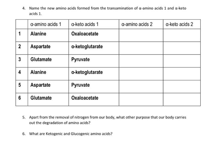 Solved 4. Name the new amino acids formed from the | Chegg.com