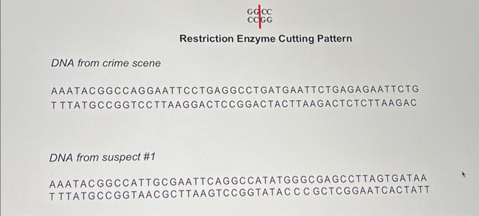 This lab has 2 experiments as summarized below. Each | Chegg.com