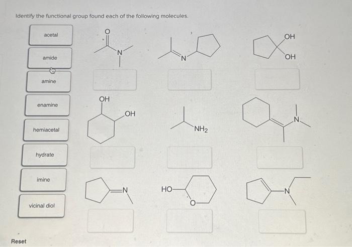 Solved Identify the functional group found each of the | Chegg.com