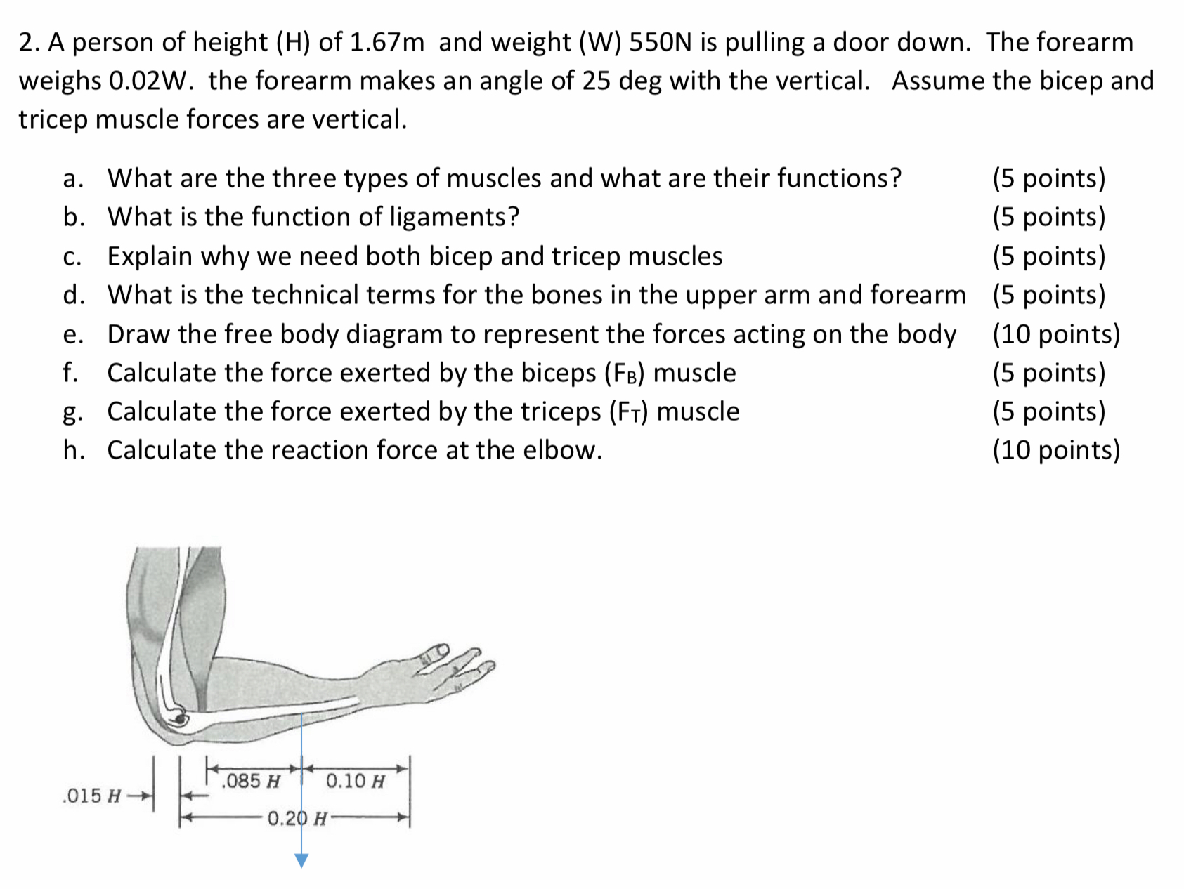 Solved A person of height (H) ﻿of 1.67m ﻿and weight (W)550N | Chegg.com