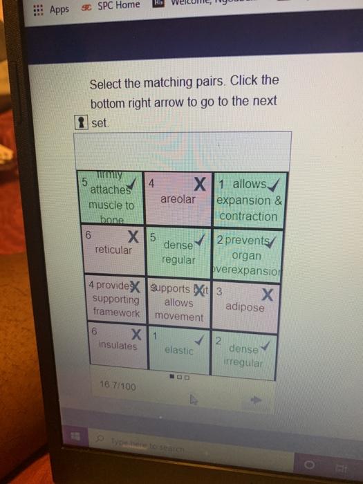 Solved Select the matching pairs. Click the bottom right | Chegg.com
