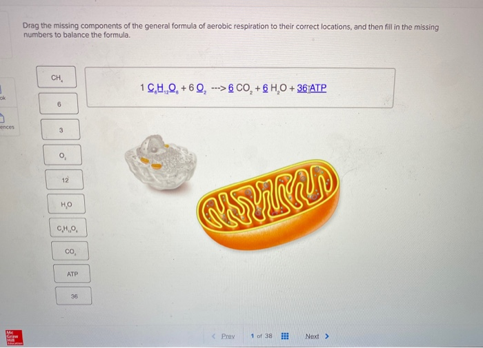 Solved Drag the missing components of the general formula of | Chegg.com