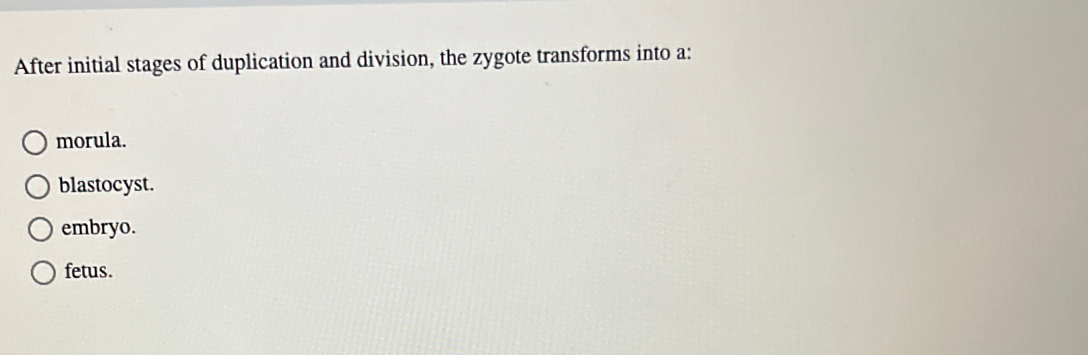 Solved After initial stages of duplication and division, the | Chegg.com