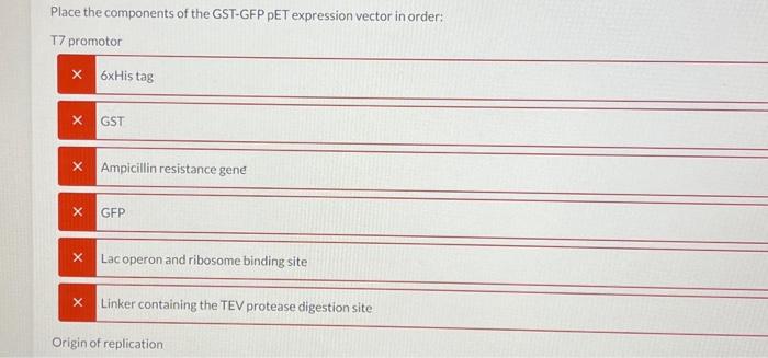 Solved Place the components of the GST-GFP pET expression | Chegg.com