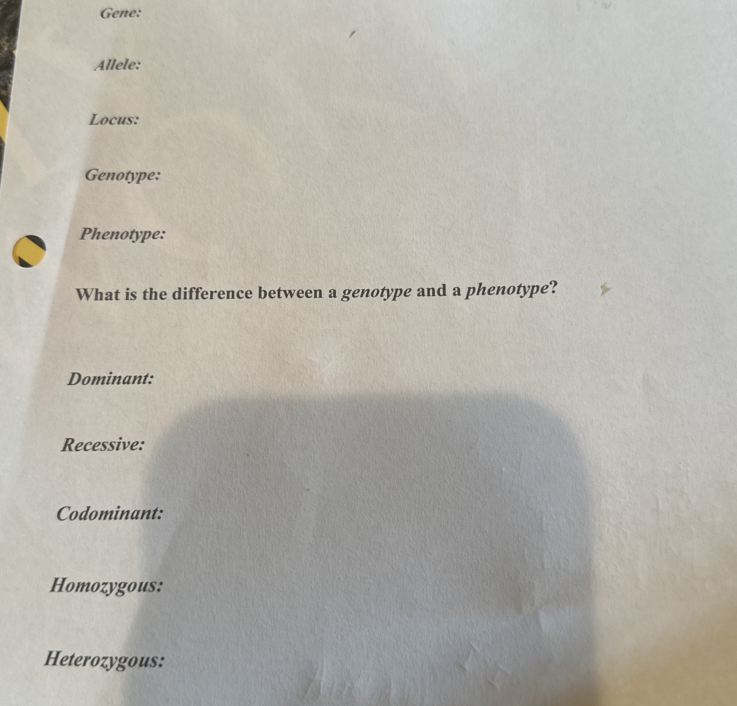 Solved Gene:Allele:Locus:Genotype:Phenotype:What is the | Chegg.com