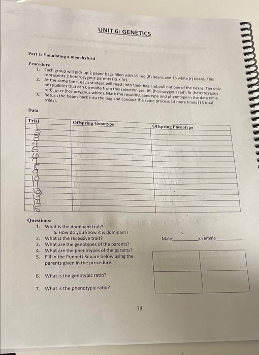 Solved UNIT 6: GENETICS Part 1: Simulating a monohybrid | Chegg.com
