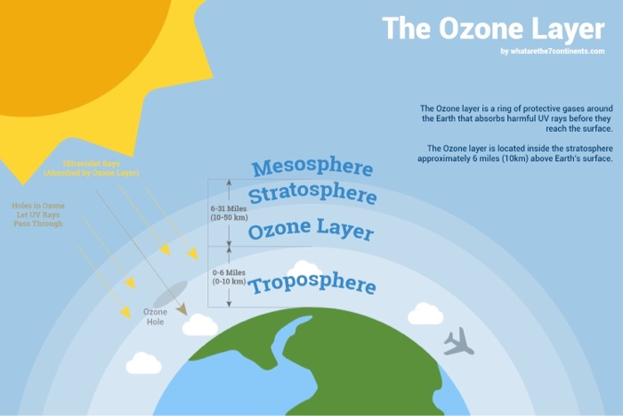 Solved The ozone layer or ozone shield is a region of | Chegg.com