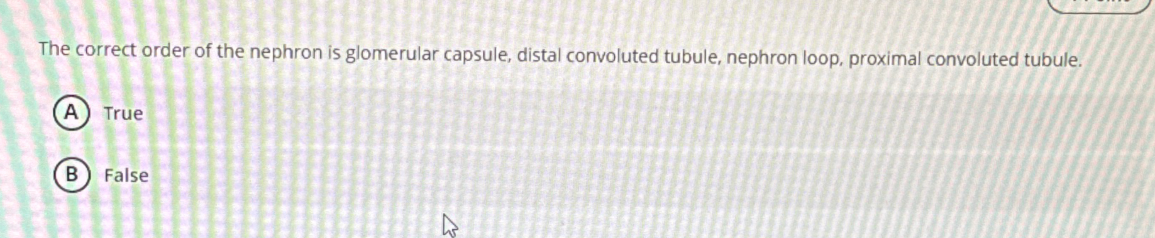 Solved The correct order of the nephron is glomerular | Chegg.com