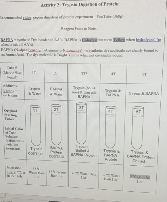 Solved DIGESTION PHYSIOLOGY LAB The following activities | Chegg.com