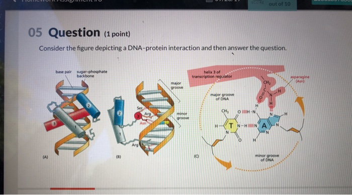 Solved The maltose operon contains genes that code for | Chegg.com