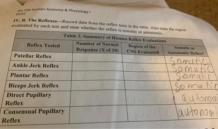 Solved do 150 Human Anatomy & Physiology DCCC B. The | Chegg.com
