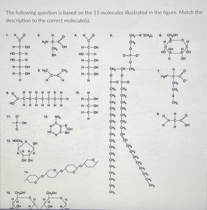 Solved The following question is based on the 15 molecules | Chegg.com
