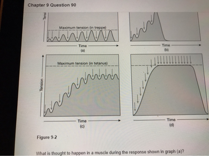 Solved Chapter 9 Question 90 Tensi Maximum tension (in | Chegg.com