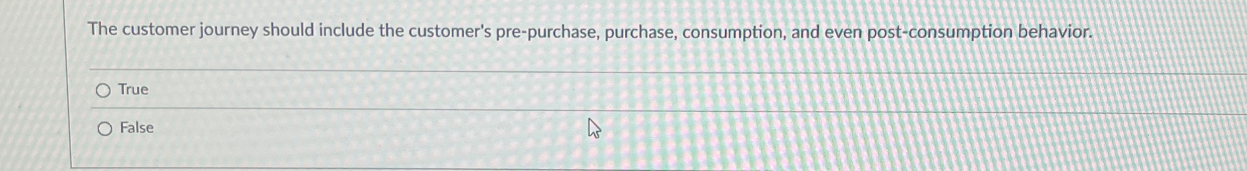 Solved The customer journey should include the customer's | Chegg.com