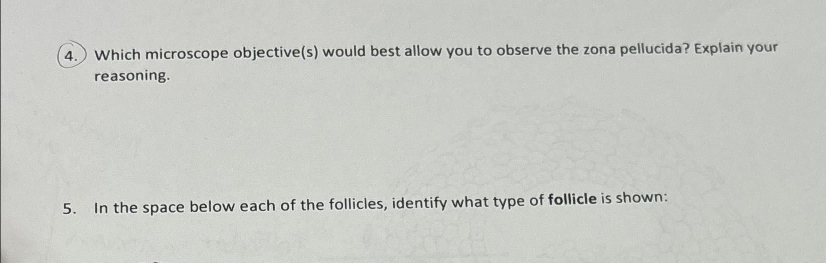 Solved Which microscope objective(s) ﻿would best allow you | Chegg.com