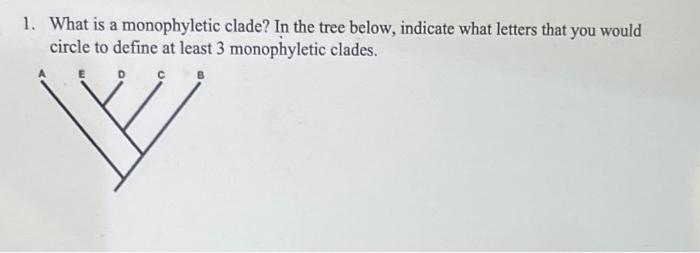 Solved 1. What is a monophyletic clade? In the tree below, | Chegg.com
