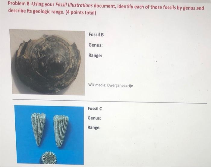 Solved Problem 8 -Using your Fossil illustrations document, | Chegg.com