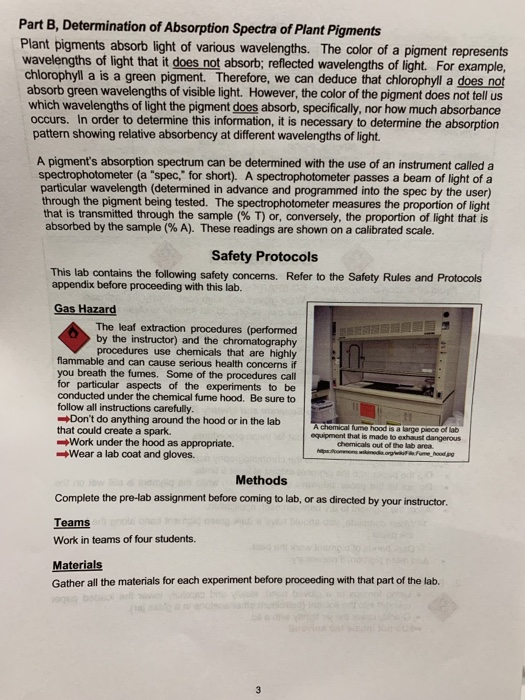 Lab 10. Photosynthesis Paper Chromatography and Plant | Chegg.com