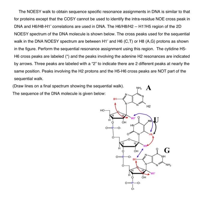The NOESY walk to obtain sequence specific resonance | Chegg.com