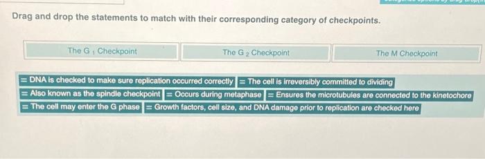Solved Drag and drop the statements to match with their | Chegg.com