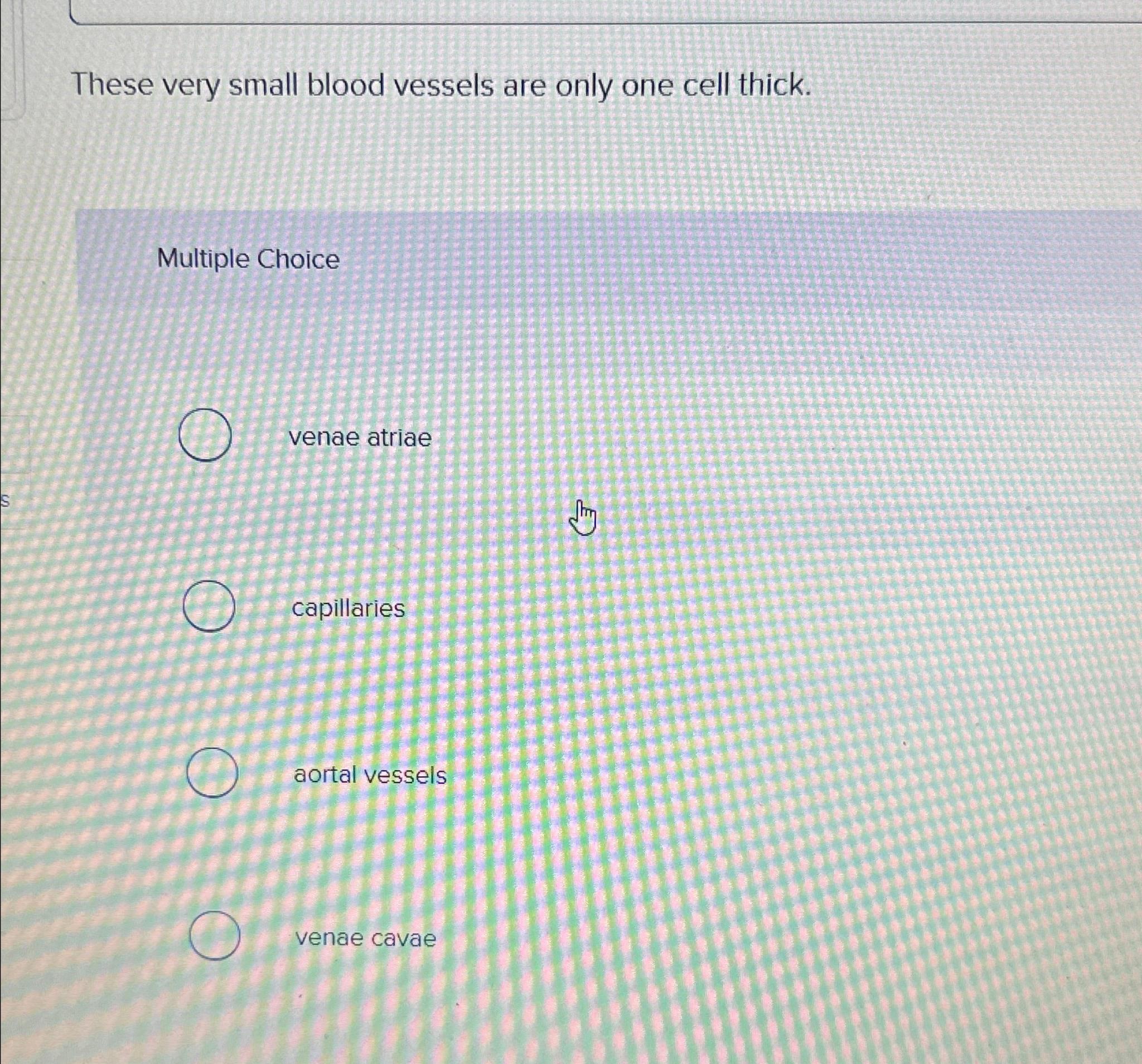 Solved These very small blood vessels are only one cell | Chegg.com