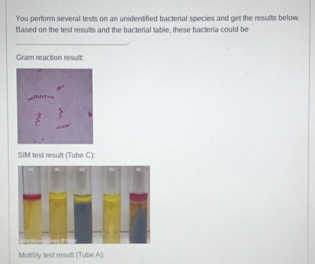 Solved You perform several tests on an unidentified | Chegg.com