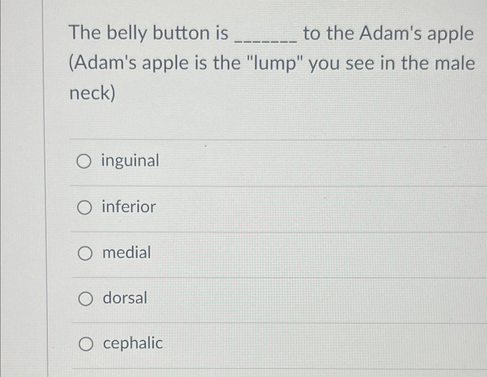 Solved The belly button is to the Adam's apple (Adam's apple | Chegg.com