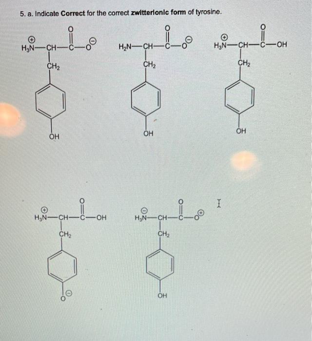Solved 5. a. Indicate Correct for the correct zwitterionic | Chegg.com