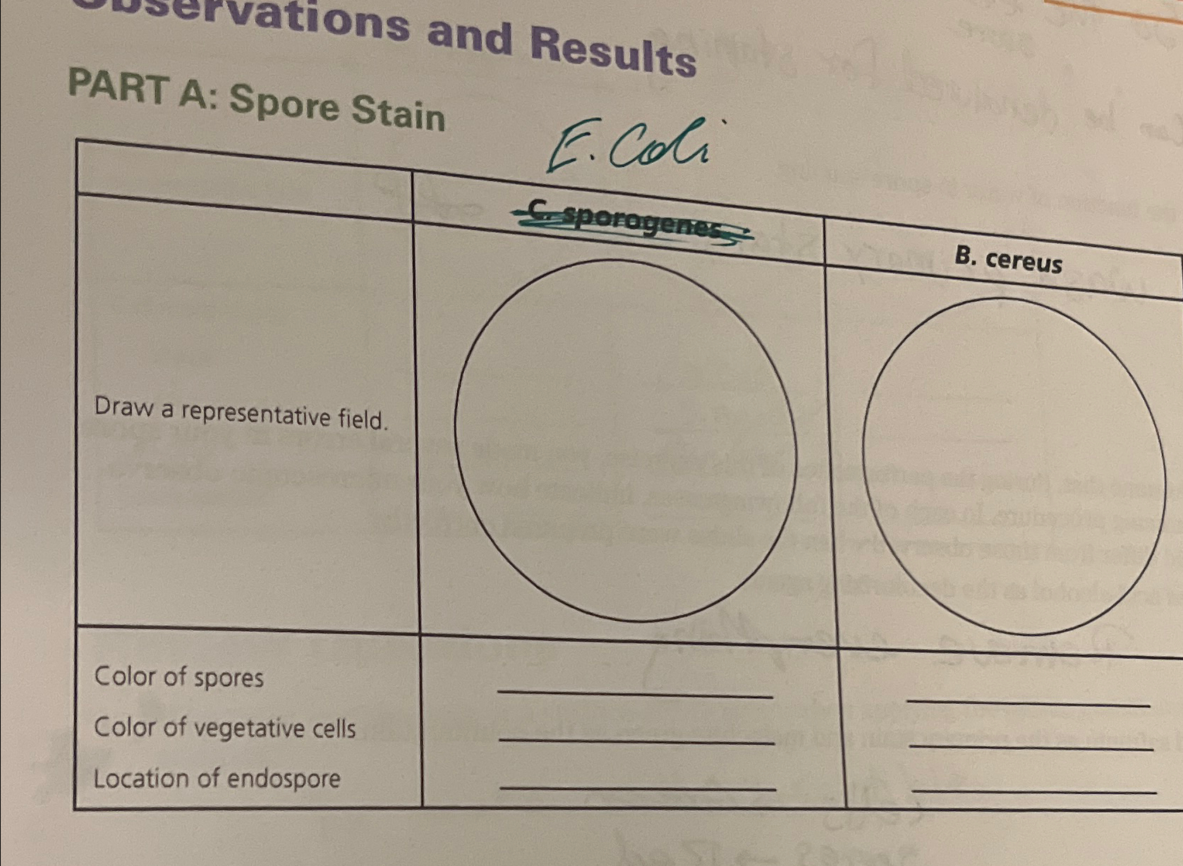 Solved PART A: Spore Stain\table[[Draw a representative | Chegg.com