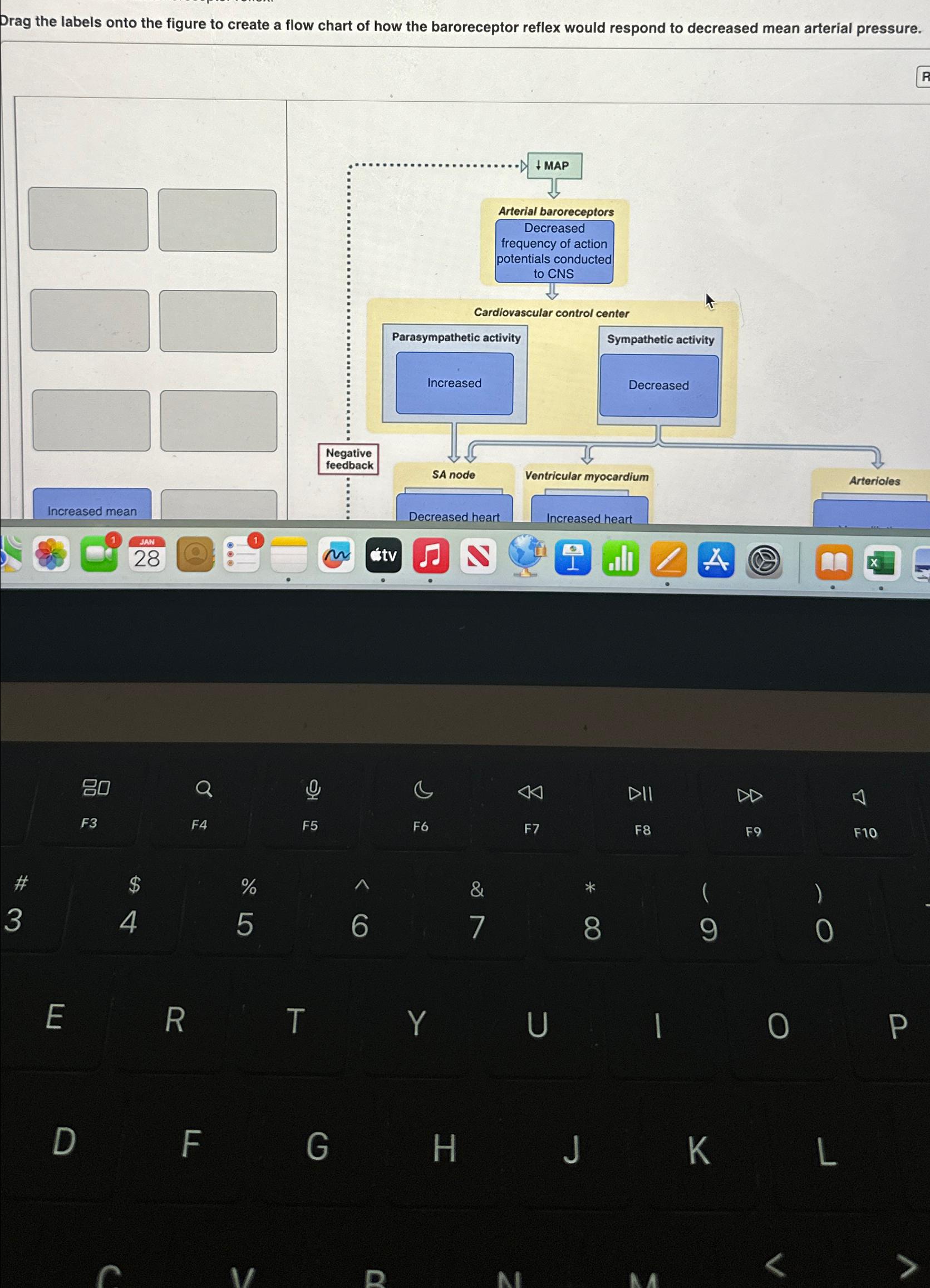 Solved Drag the labels onto the figure to create a flow | Chegg.com