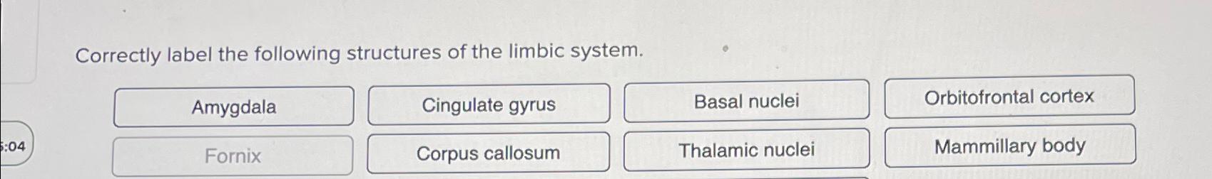 Solved Correctly label the following structures of the | Chegg.com