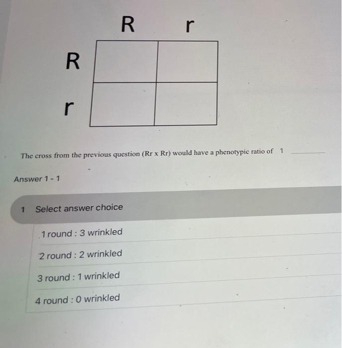 Solved Rr R r The cross from the previous question (Rr x Rr) | Chegg.com
