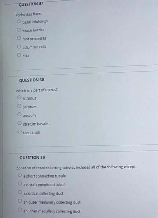 Solved Podocytes have: basal infoldings brush border foot | Chegg.com