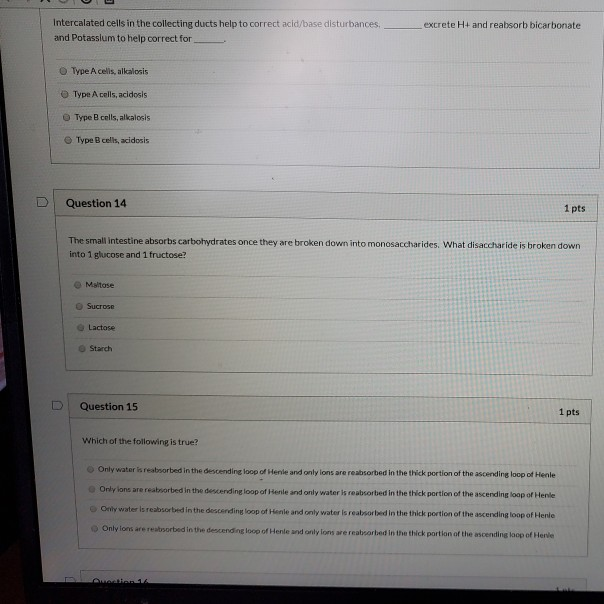 Solved excrete H+ and reabsorb bicarbonate Intercalated | Chegg.com