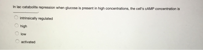Solved In lac catabolite repression when glucose is present | Chegg.com