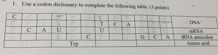 Solved 1. Use a codon dictionary to complete the following | Chegg.com